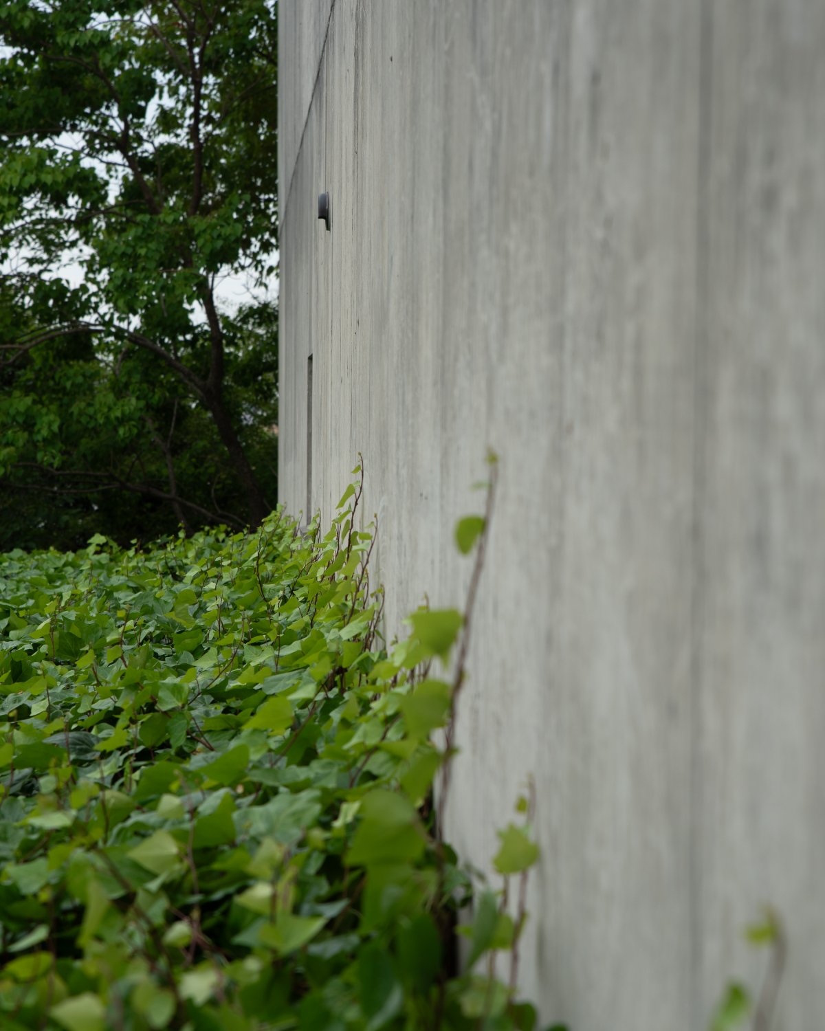 YinjiSpace - Tomoaki Uno Architects x Miyukiyama House